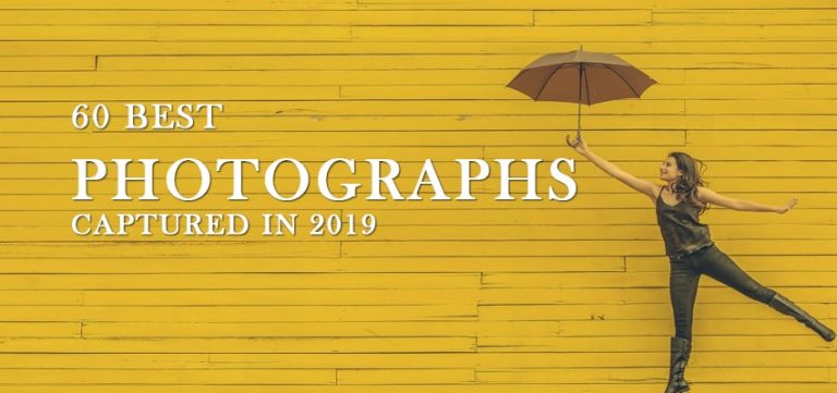 60 Best Photographs Captured in 2019 by World Famous Photographers