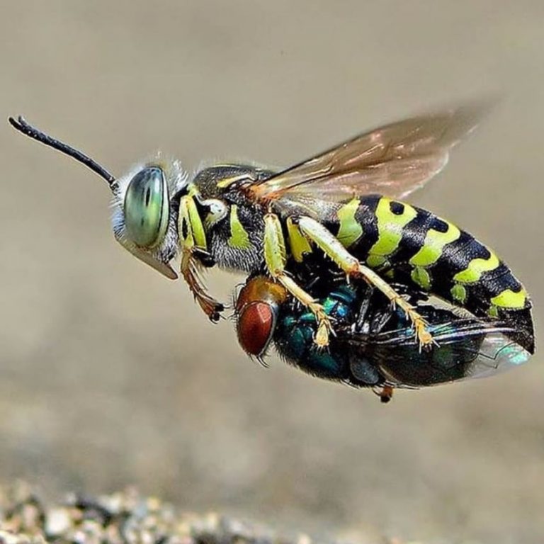 60 Best Photographs Captured in 2019 by World Famous Photographers