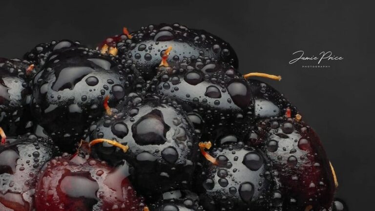 11 Most Famous Macro Photographers To Follow In 2025