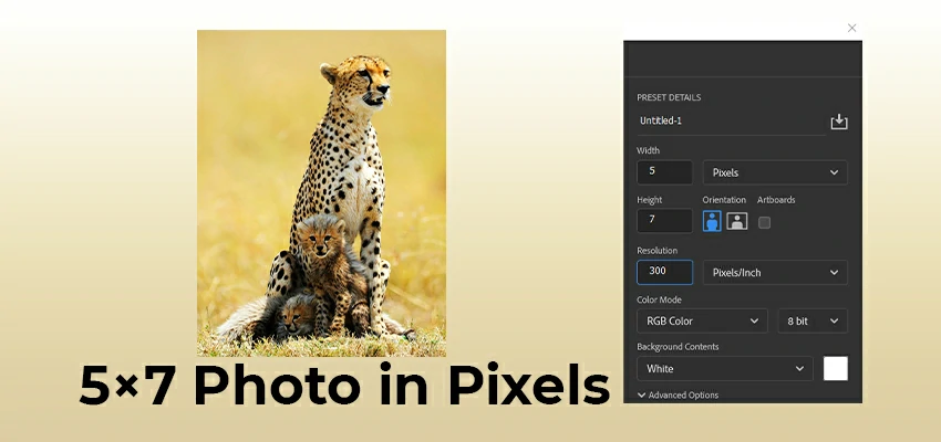 Power of 5x7 Photo Size: Small Size, Big Impact